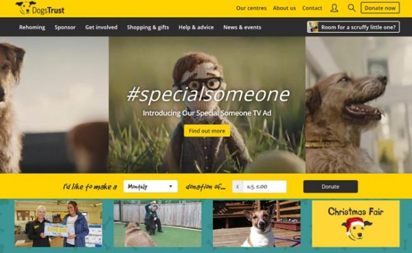 Dogs Trust Rehoming Centre in Dogs Trust Rehoming Centre - British ...