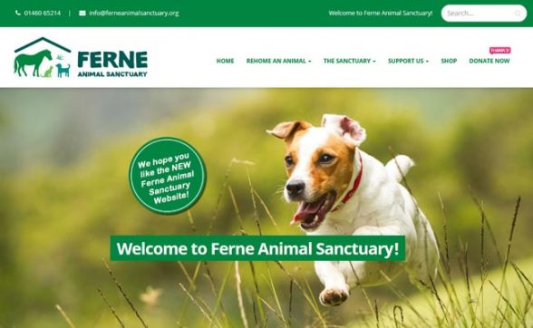 Ferne Animal Sanctuary in Ferne Animal Sanctuary - British Kennels ...